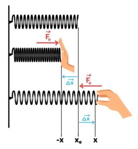 Lei de Hooke: Definição, Fórmula, Aplicações e Exemplos