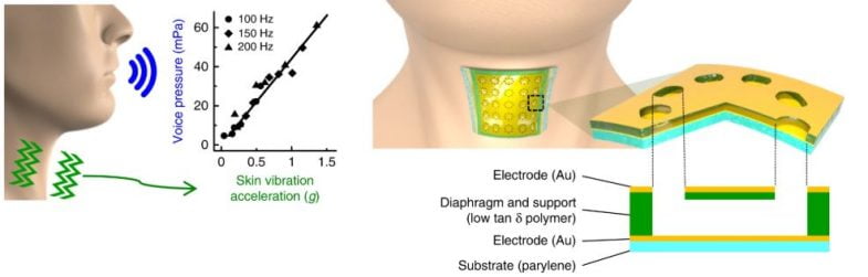 Vibrações das cordas vocais em reconhecimento de voz