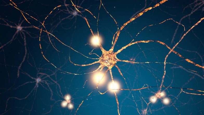 Neurônios em um chip: mecanismo biológico pode ser reproduzido ...