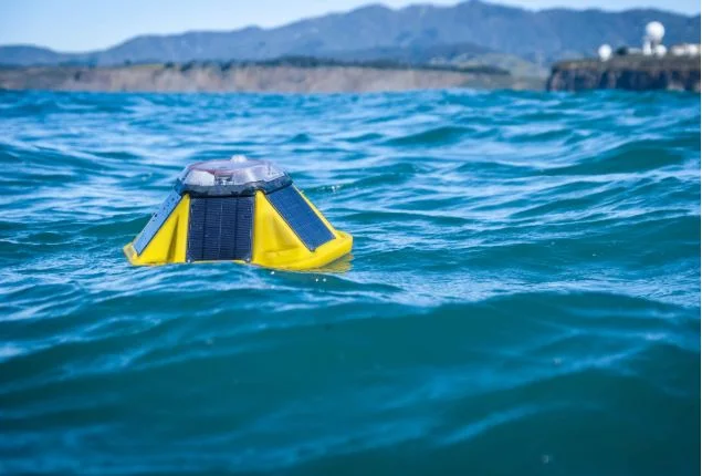 Spotters e o Desafio do Monitoramento Oceânico