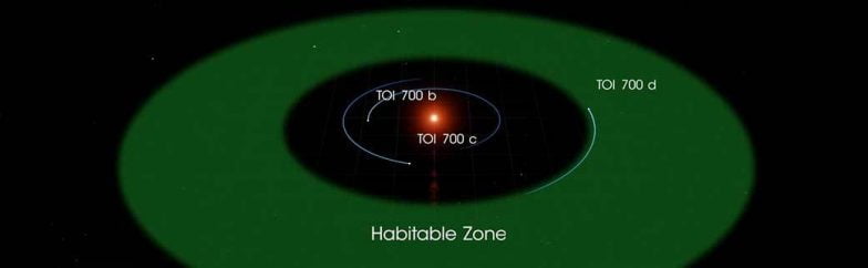 TOI 700 d: planeta em zona habitável é descoberto pelo TESS da NASA