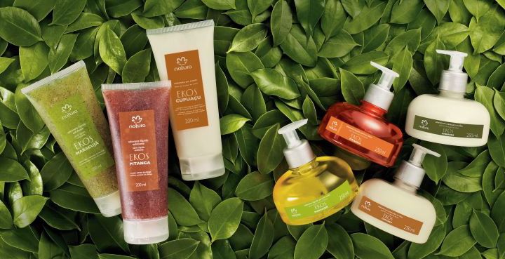 Produtos Ecológicos ou Sustentáveis: Entenda as Diferenças