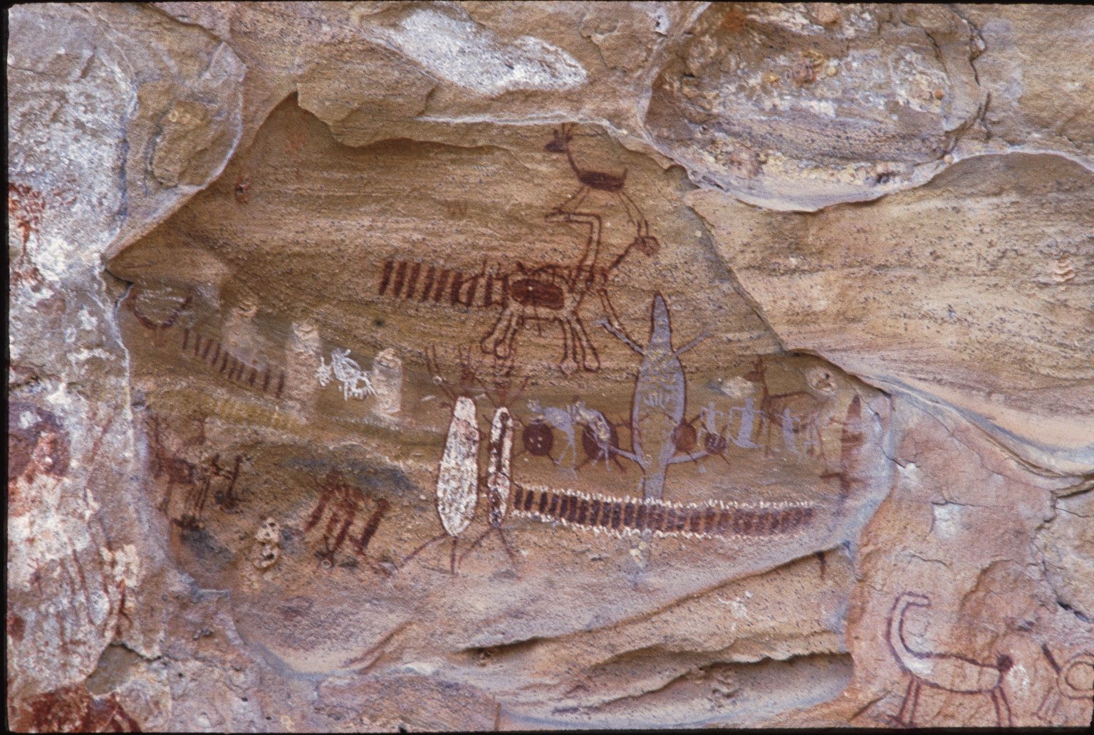 Tombamento: você sabe o que é e como é feito? | 360 Explica