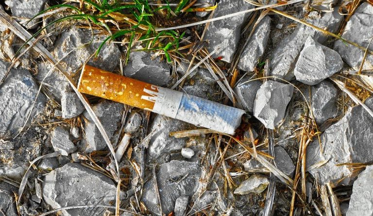 Bitucas de cigarro: ideias de reciclagem e os resultados