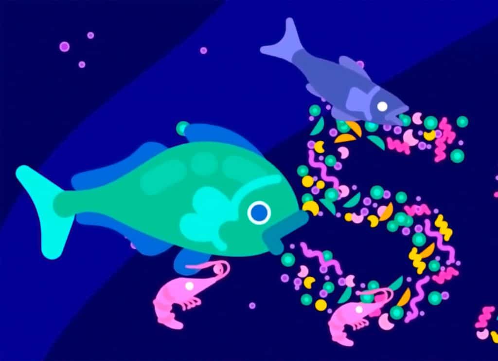 O ciclo das Partículas de Microplásticos na natureza
