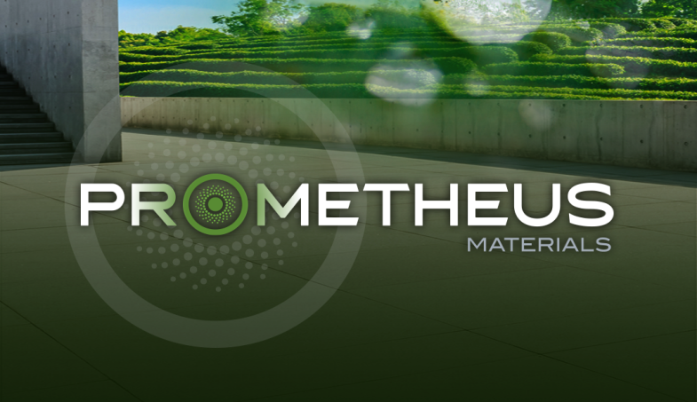 É possível realizar o cultivo de cimento?