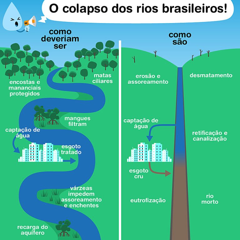 O que é assoreamento e retificação de rios?