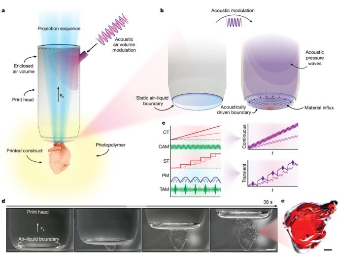 Bioimpressora 3D para impressão de tecidos humanos
